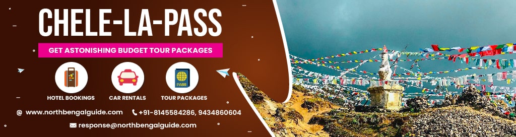 Chele La Pass or Chelela Pass in Bhutan | North Bengal Guide