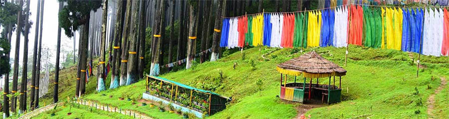 Lamahatta - Completely Detailed Tour and Travel Guide for Travelers