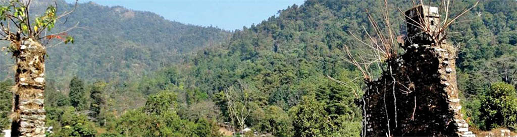 Banarhat Tea Garden, Places to visit around Jalpaiguri, Banarhat in ...