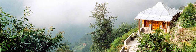 Todey Tangta - Complete Tour and Travel Guide