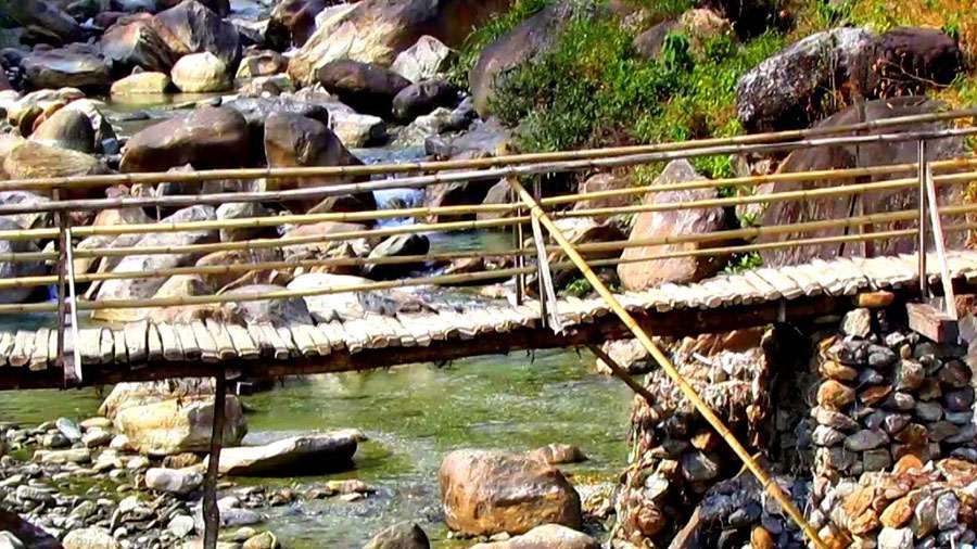 Tourist interest places around Jalpaiguri, Binnaguri Tea Gardens ...