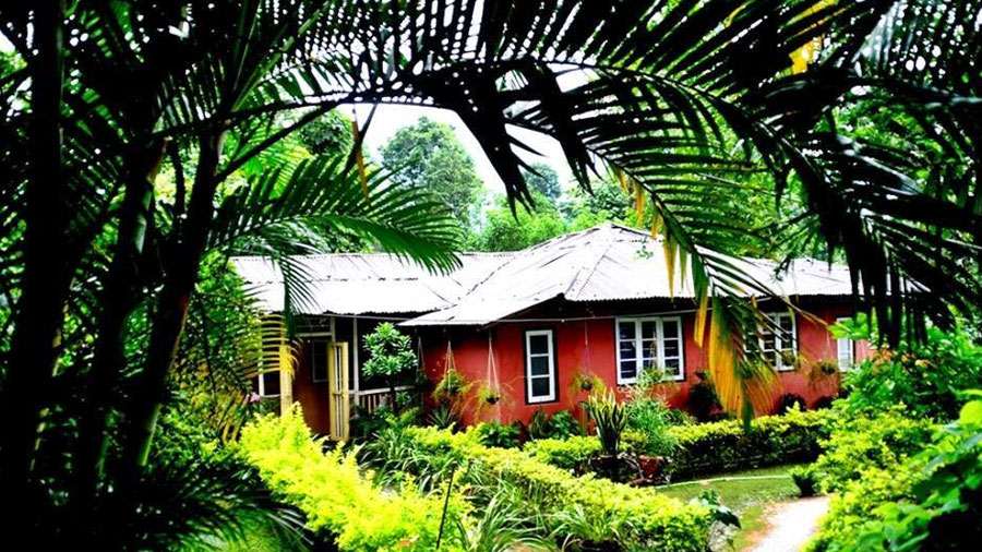 Things to see in Chilapata Forest, Places to visit in Dooars, Chilapata ...