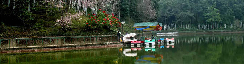 Aritar - Completely Detailed Tour and Travel Guide